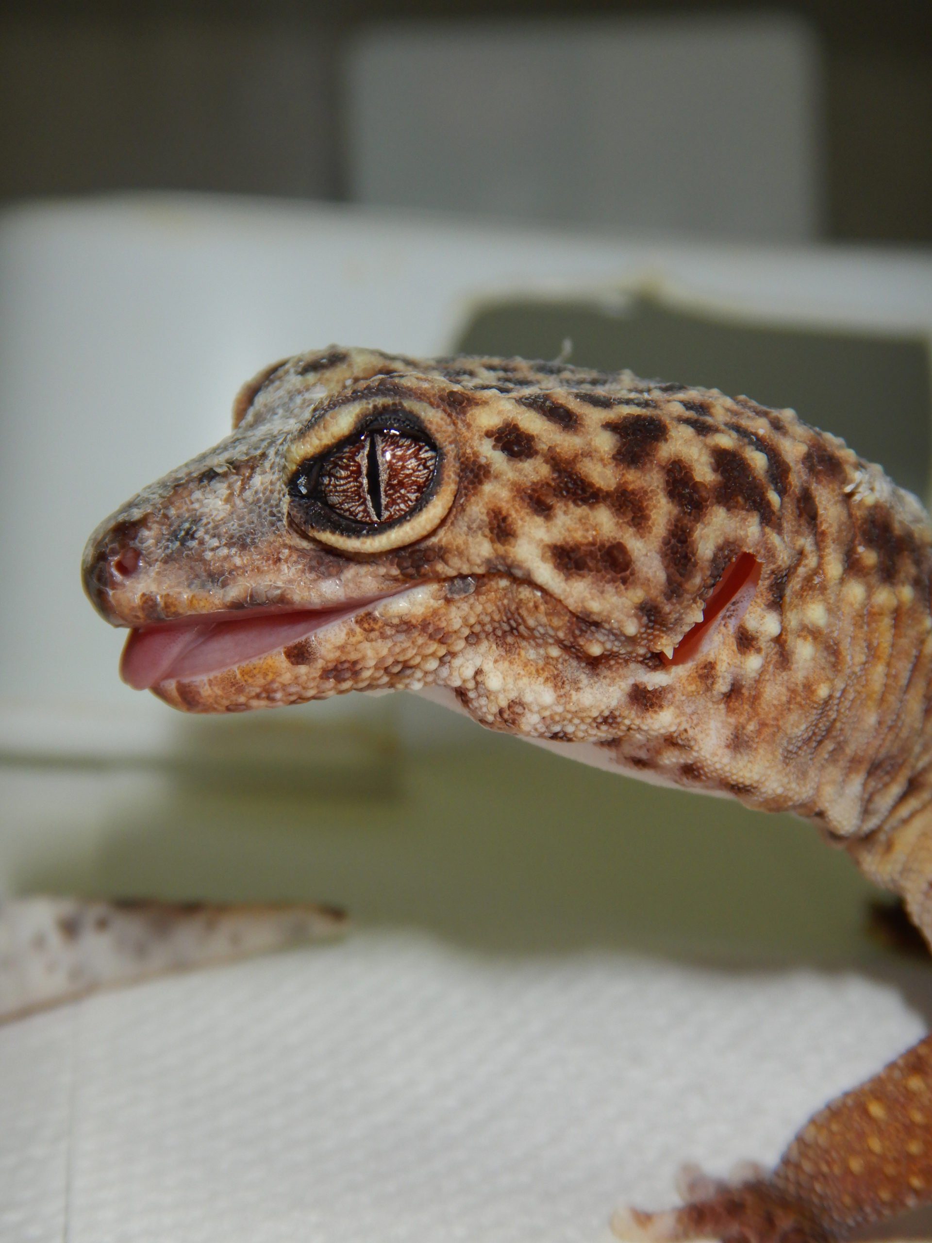 The Complete Guide to Lighting – Peregine